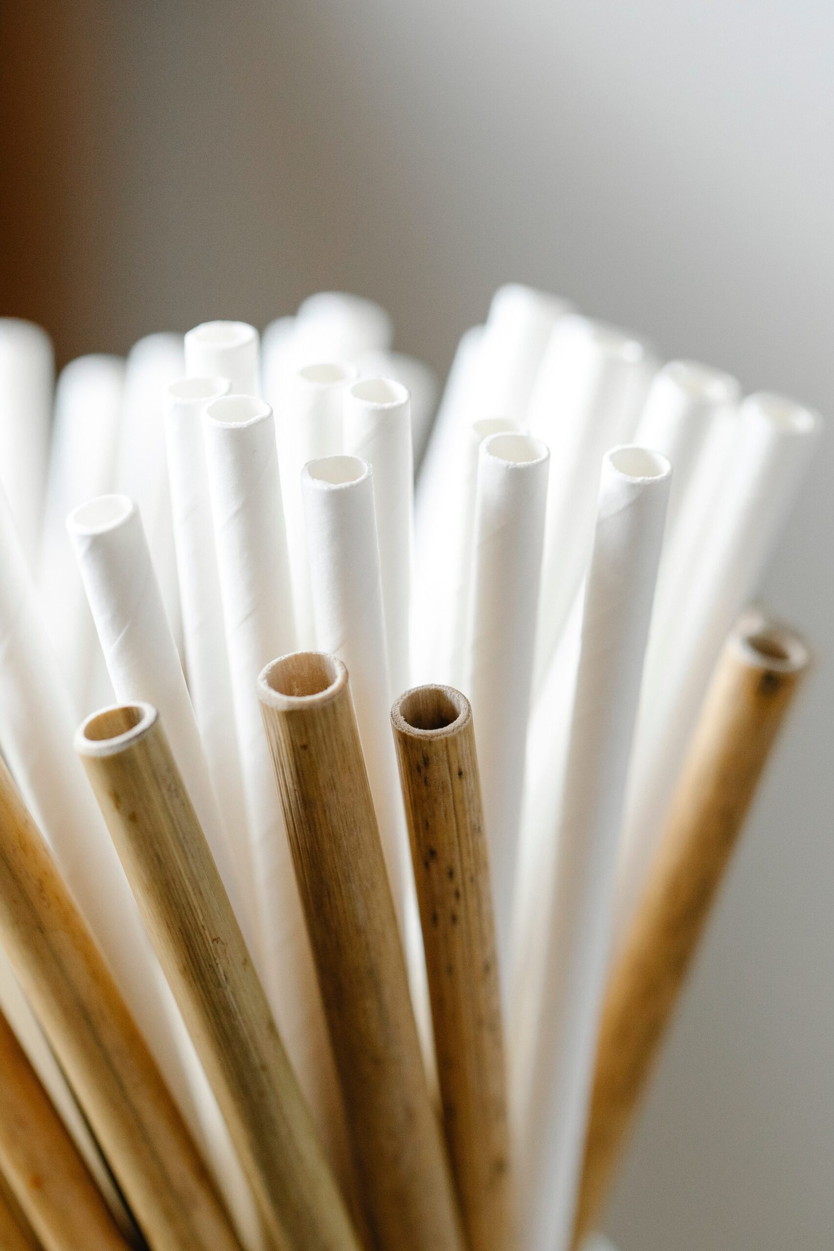 The Rise of Genuine Eco-Friendly Brands and Practices - Future Bridge ...